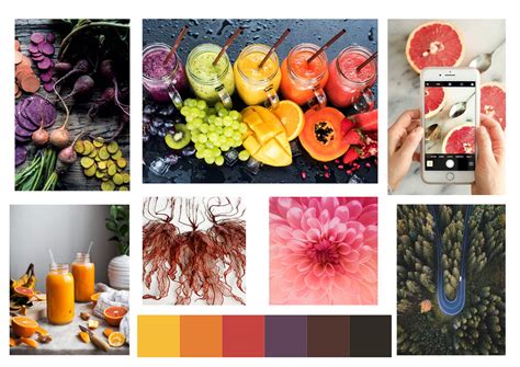 Root Application Ui On Behance