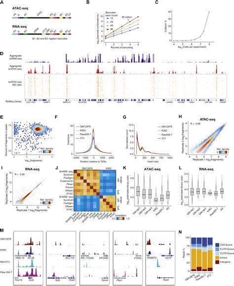 Chromatin Potential Identified By Shared Single Cell Profiling Of RNA And Chromatin Cell