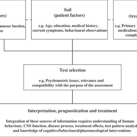 Considerations For The Cognitive Assessment Of The Oncology Patient