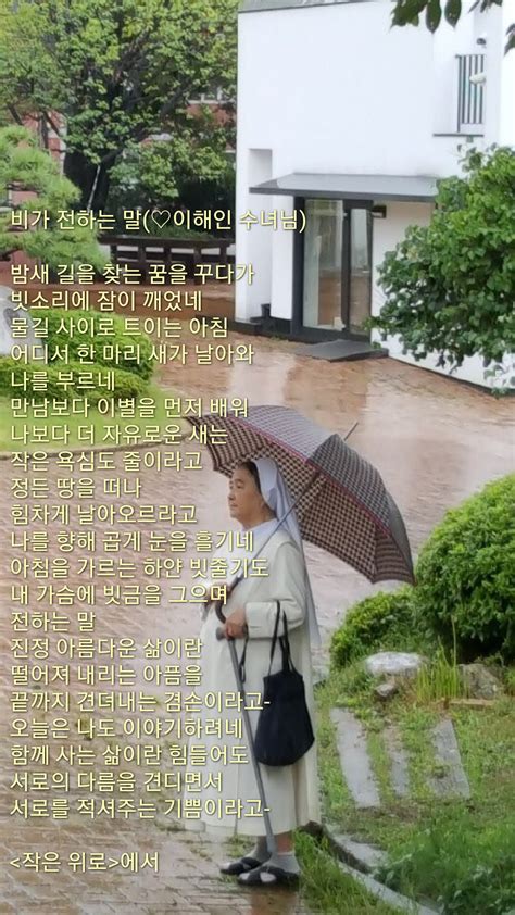 Daum 카페