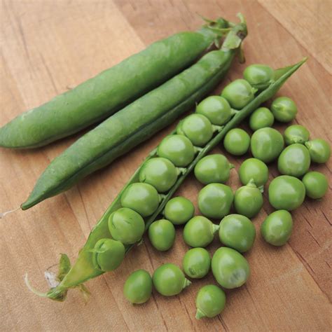 Green Arrow Pea Seed Territorial Seed Company