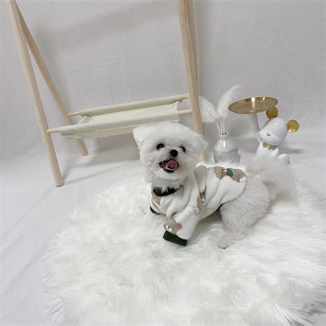 [강아지옷] 곰돌이 포근 후리스 에이블리