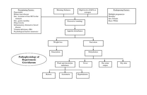 Preterm Labor Hyperemesis Gravidarum Pathophysiology