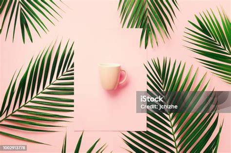 파스텔 핑크 배경 종이 카드 메모와 함께 열 대 야 자 나뭇잎 컵 최소한의 여름 개념입니다 크리에이 티브 레이아웃입니다 상위 뷰 평평 하다입니다 펀치 파스텔 종이에 리프