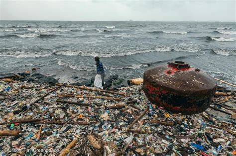 바다를 뒤덮은 플라스틱 이게 머선129 Greenpeace Korea 그린피스