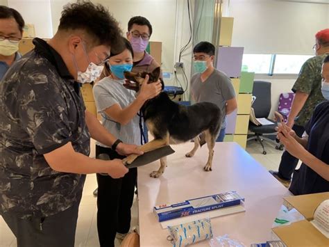 高市動保處攜手獸醫師 提升動物收容所醫療品質農業 僑務電子報