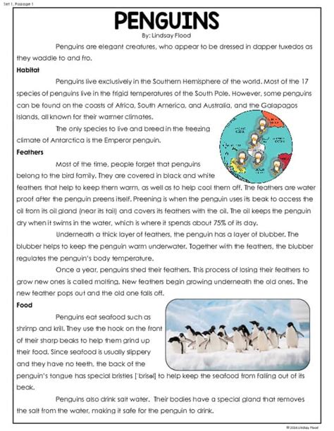 Reading Comprehension Passages Winter New Years 2025 By Lindsay Flood