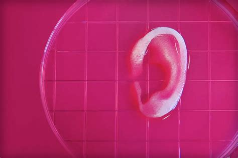 바이오 3d프린팅 이식 가능한 근육 귀 뼈 조직 자이지스트 Xyzist®