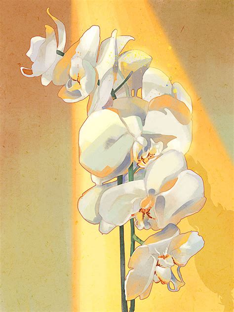 画师繁星20第七期第一周九沙浬 站酷zcool
