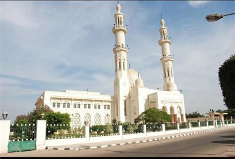 مدينه سماد طلخا