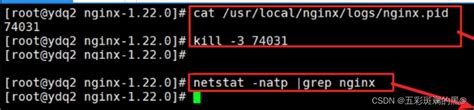 Nginx网站服务安装nginx、平滑升级nginx、nginx各种访问配置nginx网页地址哪里看 Csdn博客
