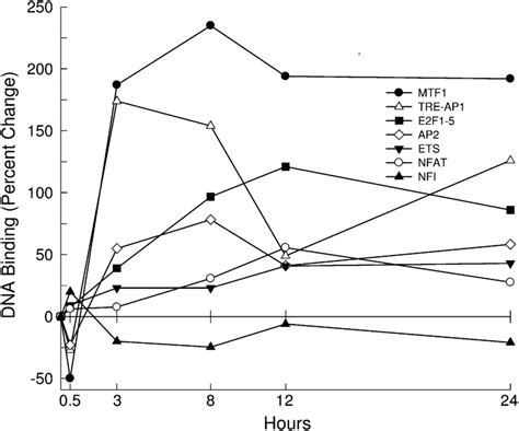 Transcription Factor Dna Binding Activity In Nuclear Extracts Of Mouse