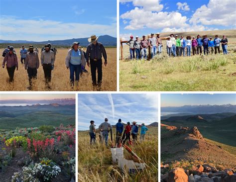 What Are Integrated Population Models Iwjv