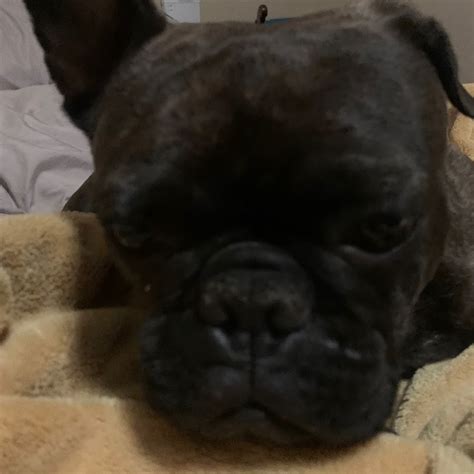 Pimple Popping Shorts Youtube