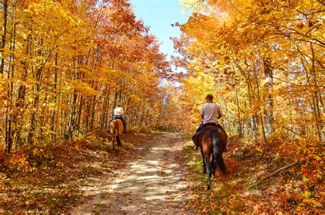 Horseback Riding Trails And Stables Double Jj Resort