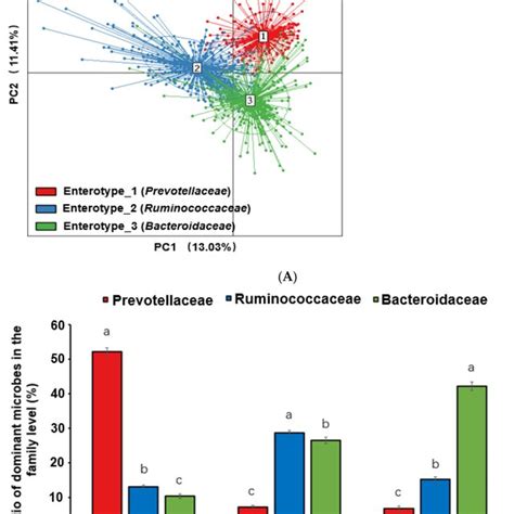 The Classification Of Fecal Bacteria And The Dominant Fecal Bacteria In Download Scientific