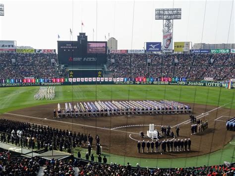 2024年高校野球夏の地方大会日程と決勝球場 ナショナル・スタジアム・ツアーズ
