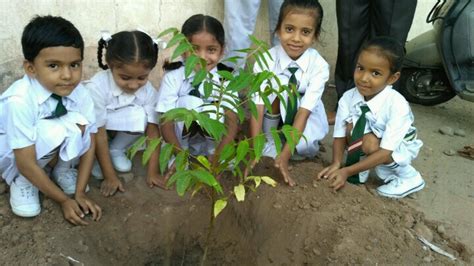 Tree Plantation Govt Model Sanskriti School