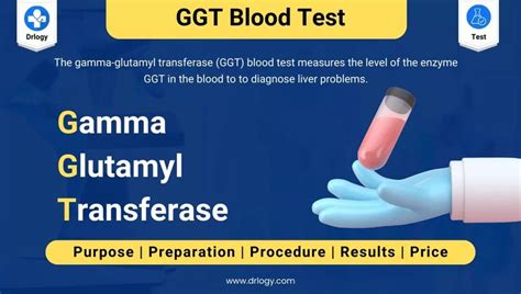 GGT Blood Test For Liver Diseases Drlogy Test Price Result Normal