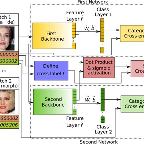 schematic of the proposed method for simplicity of visualisation batch