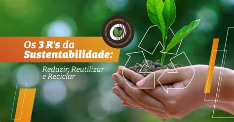 Os 3 Rs Da Sustentabilidade Reduzir Reutilizar E Reciclar Cattegran