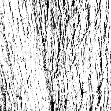 Tree Bark Vector At Vectorified Collection Of Tree Bark Vector