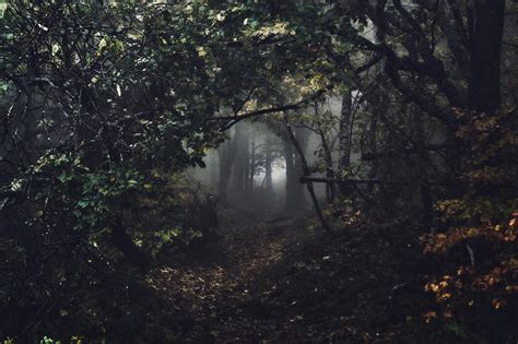 Dark Passage By Kriskeleris On Deviantart