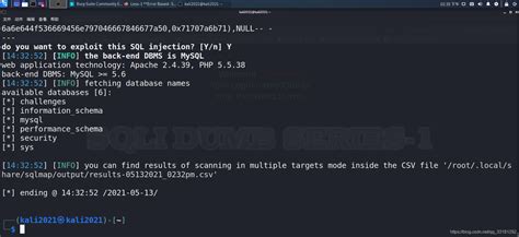 Sqlmap无法使用 R、 L命令问题原因没有携带请求参数即注入点sqlmap L Csdn博客