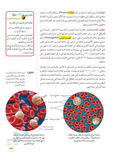 البلازما عين2022 جهاز الدوران العلوم 1 ثاني متوسط المنهج السعودي