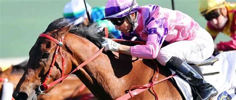沙田赛事莫雷拉本季百胜登榜首 银驰 直路 成功