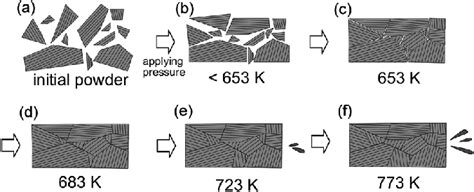 Schematic Illustrations Of Microstructural Grain Alignment Evolution