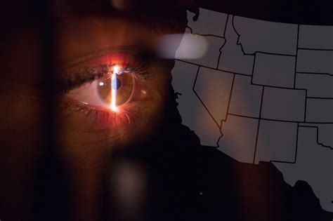 The “state” Of Biometrics Navigating The Murky Waters Of Biometric Laws In The U S Neuroid