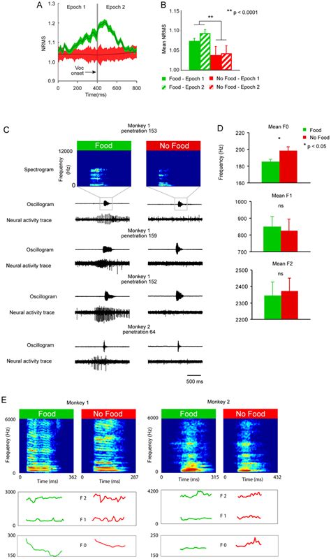 Vocalization Neurons Specificity For Food” Condition A Time Course