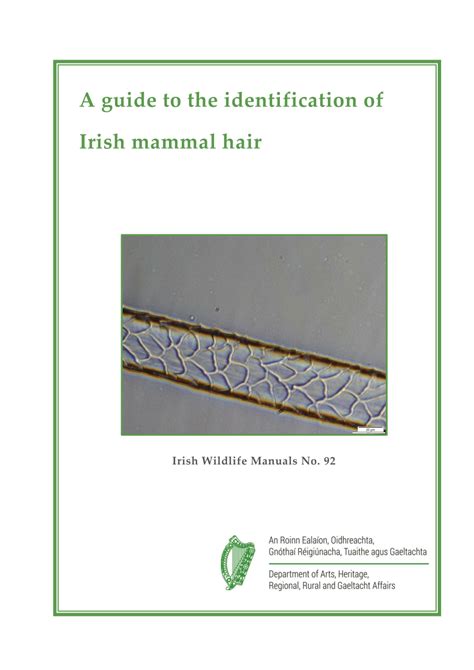 PDF A Guide To The Identification Of Irish Mammal Hair Irish Wildlife