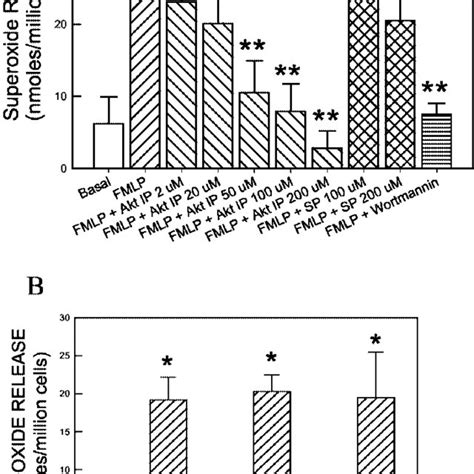 Model Of Pi 3k Regulation Of Respiratory Burst Activity Postulated