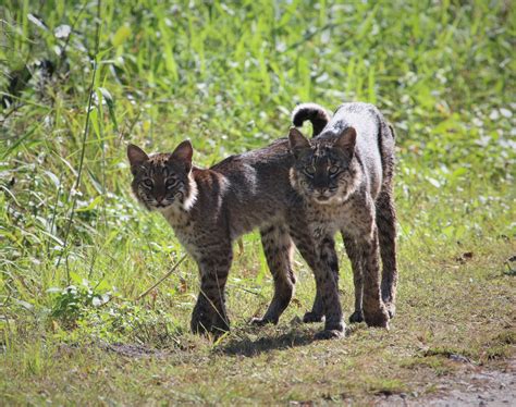 Asset Allocation Vs Stock Selection Diy Wealth Management