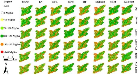 🌿🌿 Improving Forest Above Ground Biomass Estimation Accuracy Using Multi Source