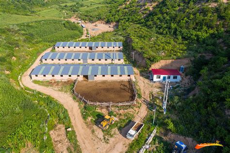 我们的全村福丨承德市隆化县上窑村：精准施策谋产业 拓宽增收致富路 搜狐大视野 搜狐新闻