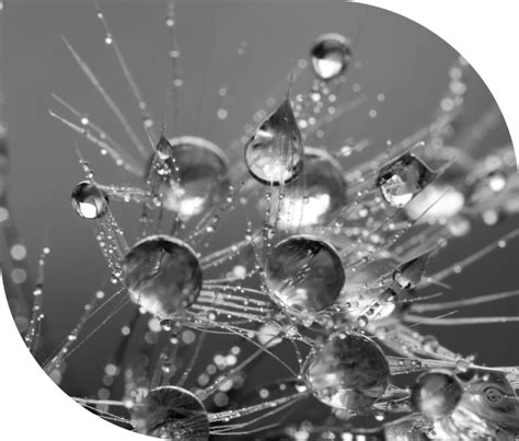 Life Sciences Lio Insurance