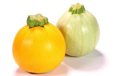 13 Types Of Yellow Squash With Photos Live Eat Learn