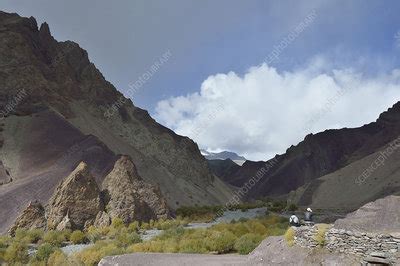 Bharal Habitat Stock Image C040 7757 Science Photo Library