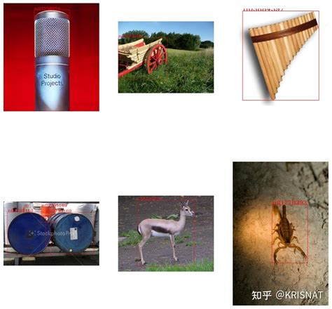 基于python的imagenet著名子数据集ilsvrc2012下载、解析及可视化 知乎