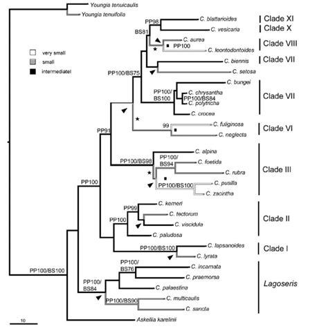 Ancestral Character State Reconstruction For Data Set 2 Using