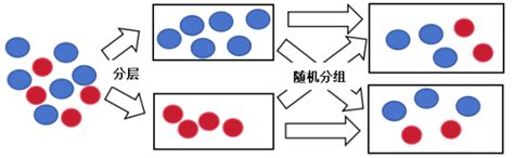 干货来了！lancet杂志的临床试验论文，随机化分组如何开展？论文中随机分组方法怎么描述 Csdn博客