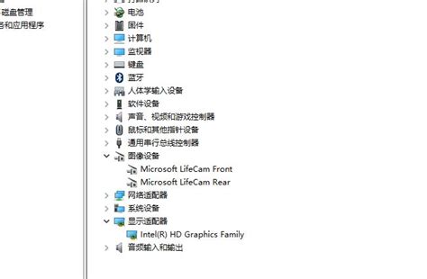 Surface Pro3 升级win10后，摄像头无法看到图像，非常暗 Microsoft Community