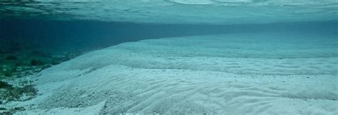 How To Describe And Interpret Carbonate Thin Sections Applied