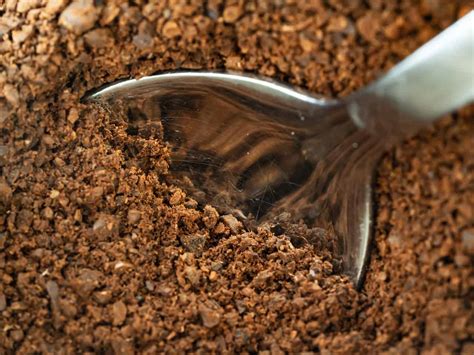 Instant Coffee Vs Ground Coffee Which Brew Suits You Craft Coffee Guru
