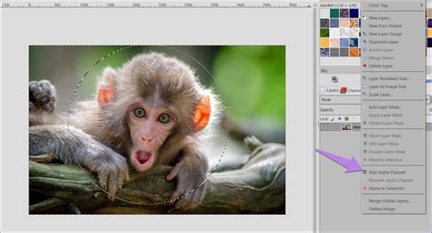 How To Crop An Image Into Circle In Gimp