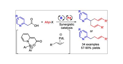Bpd Synergistic Catalysis For The Decarboxylative Allylation Of 2 2