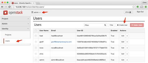 Configuring Openstack For Cloud Foundry Stark Wayne
